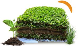 Venta e instalación de grass natural en Lima » 【Jardineros Lima】